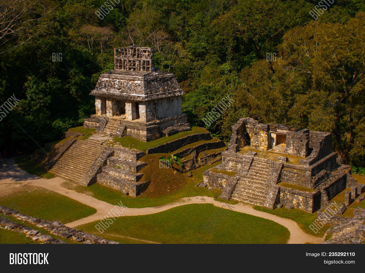 Top View Jungle Image & Photo (Free Trial) | Bigstock