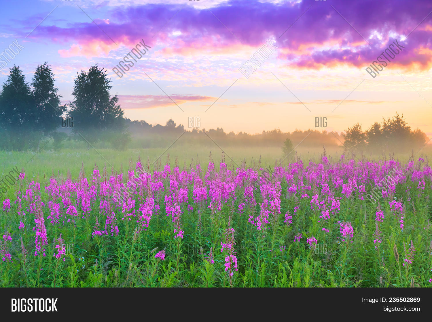 Beautiful Rural Image & Photo (Free Trial) | Bigstock