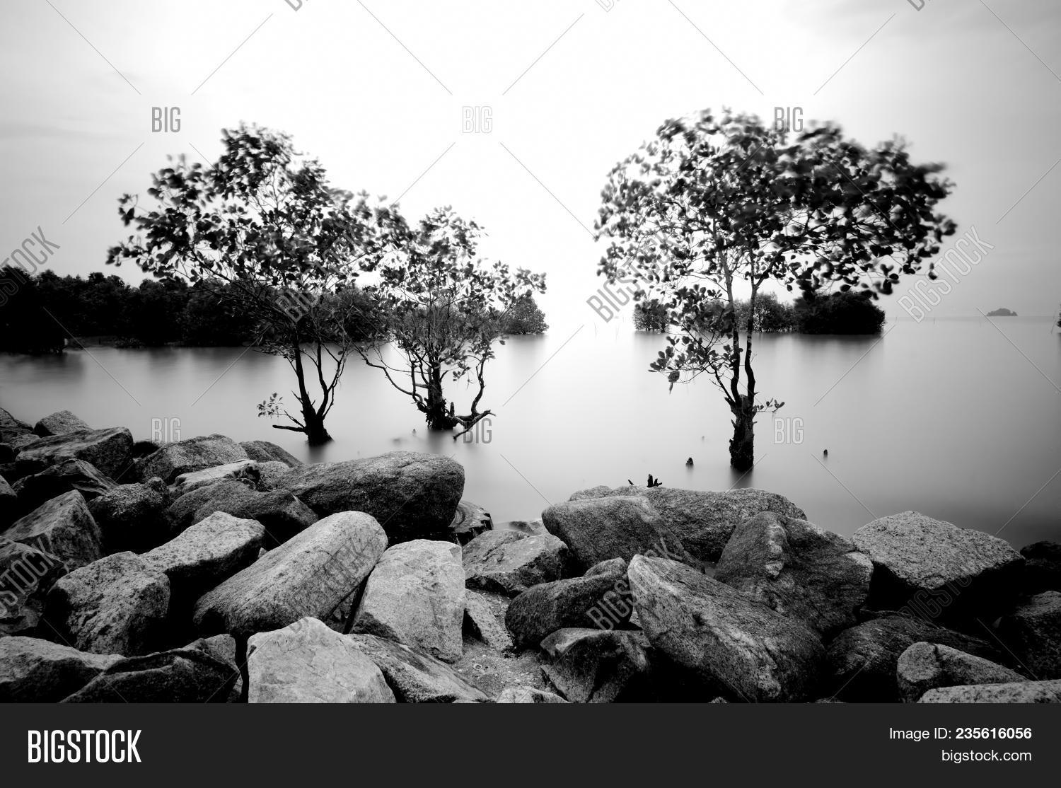 Long Exposure Shoot Image & Photo (Free Trial) | Bigstock
