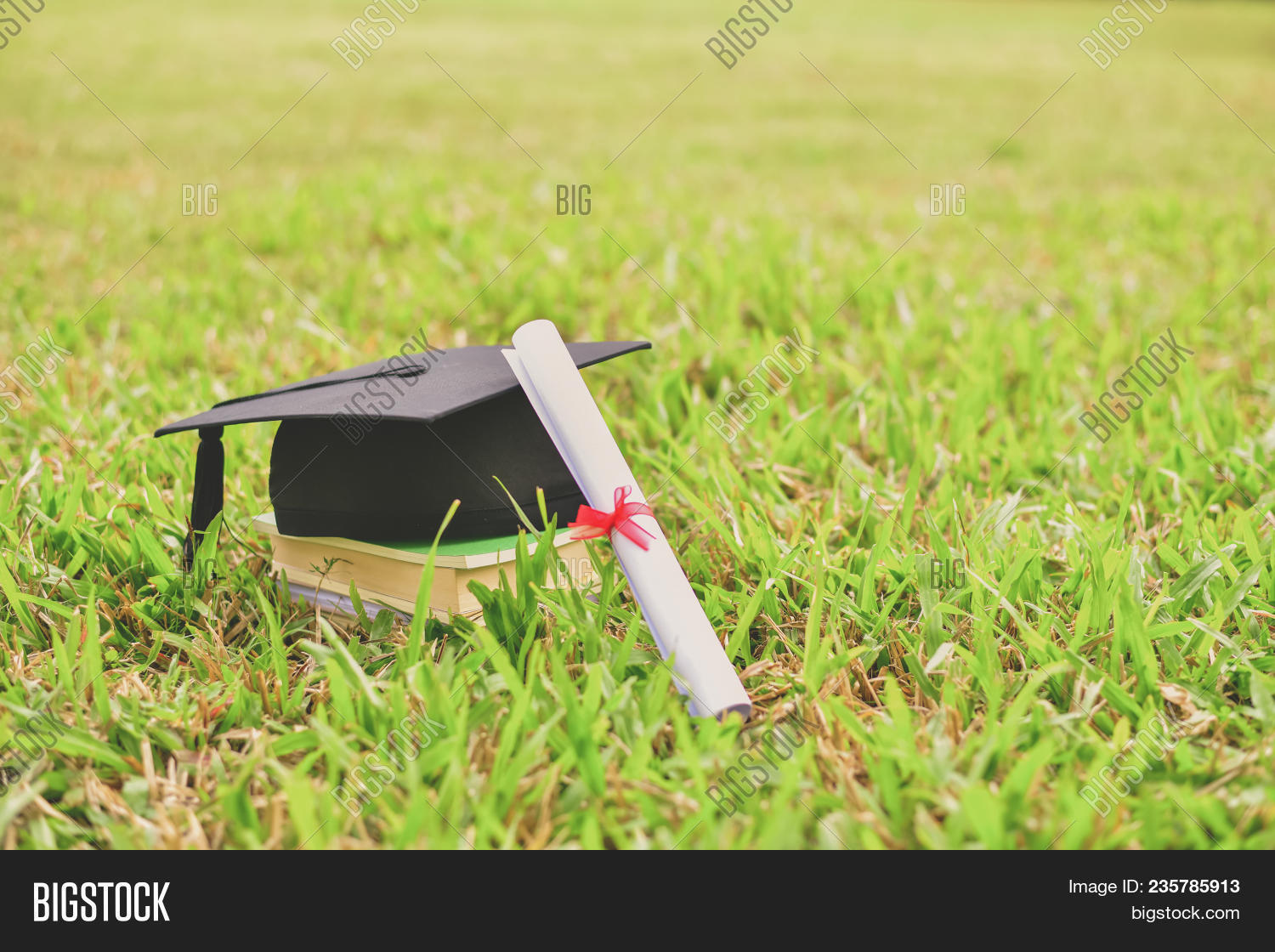 Graduation Concept. Image & Photo (Free Trial) | Bigstock