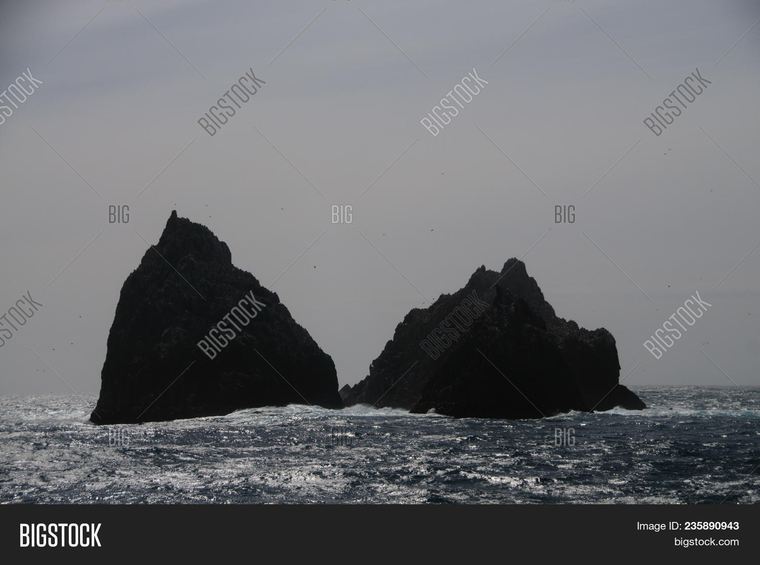 Shag Rocks Six Small, Image & Photo (Free Trial) | Bigstock