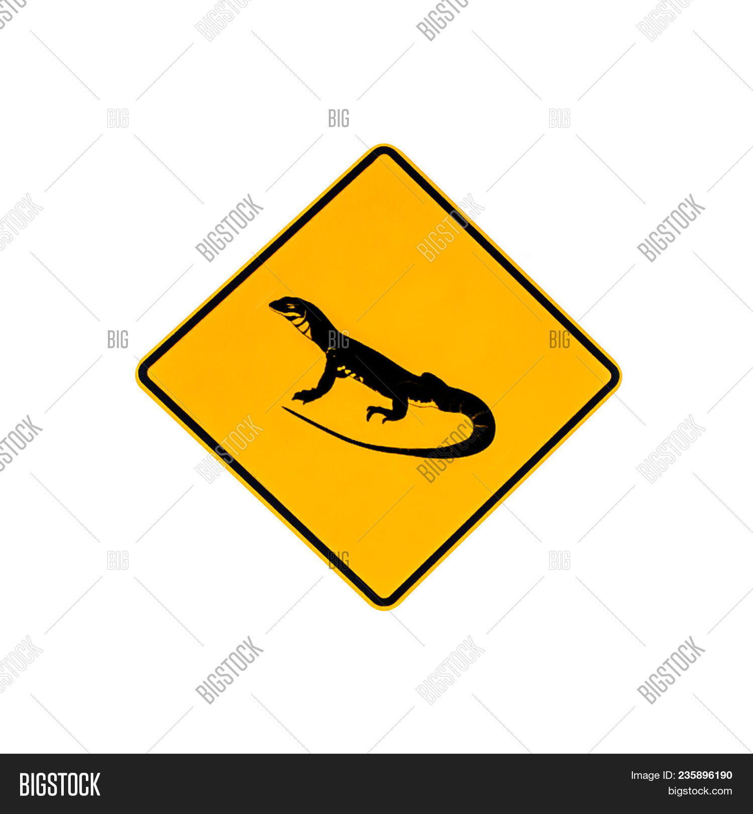 Australian Wildlife Image & Photo (Free Trial) | Bigstock