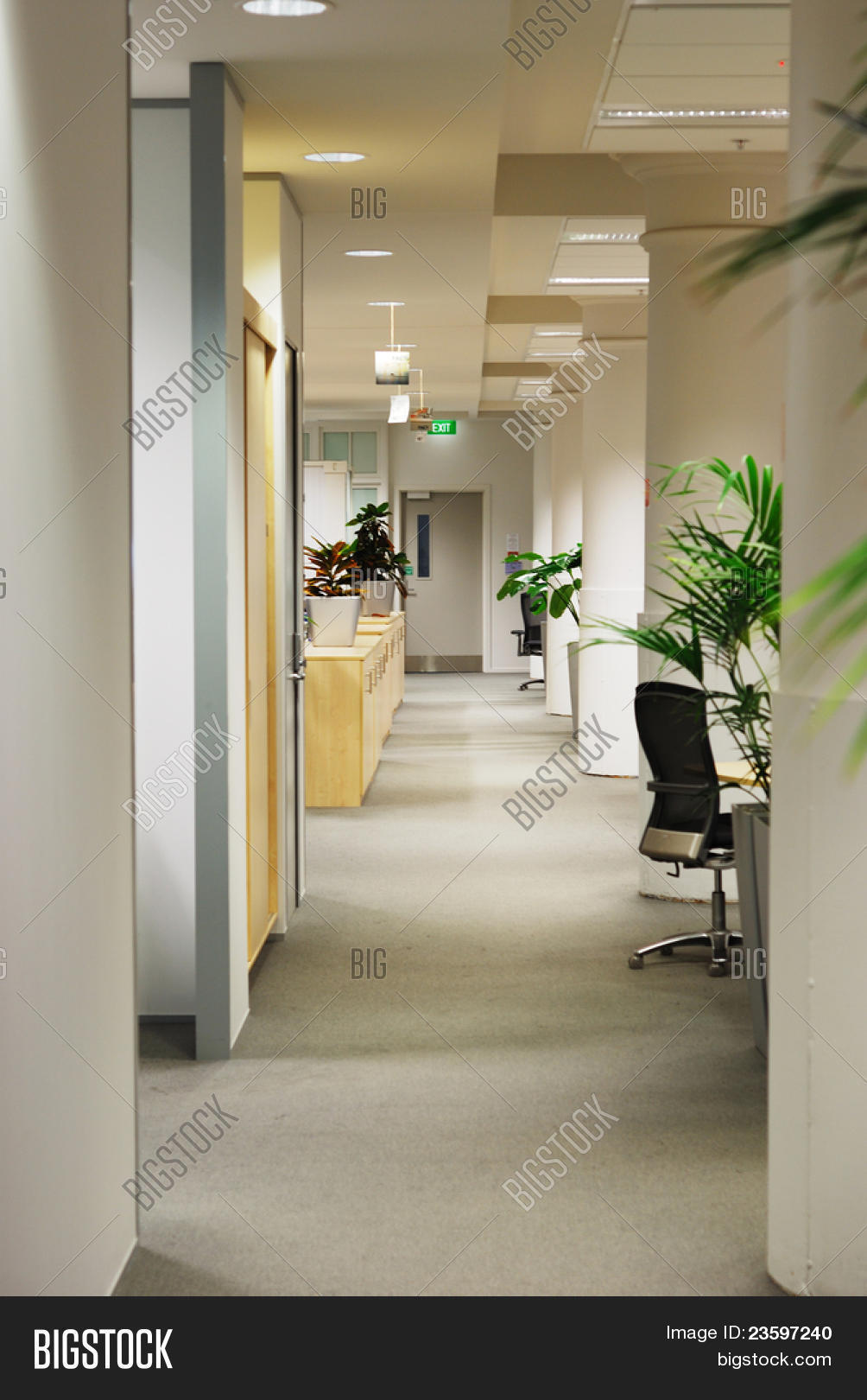 Office Hall Image & Photo (Free Trial) | Bigstock