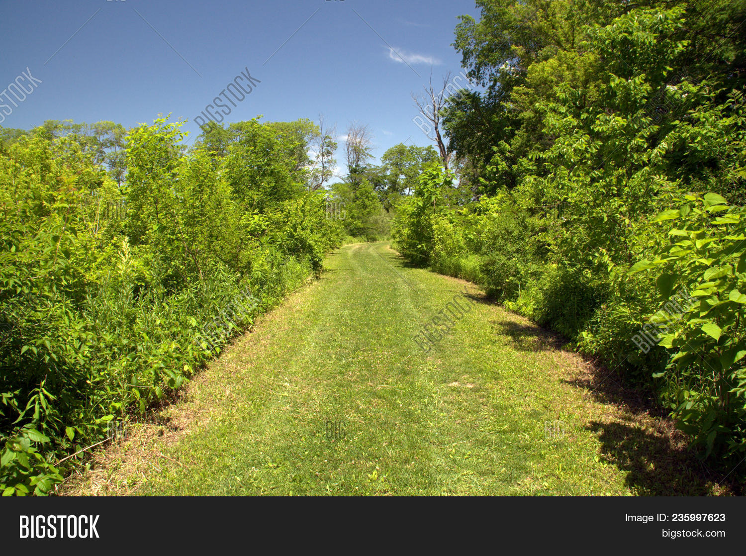 Mowed Trail Through Image & Photo (Free Trial) | Bigstock
