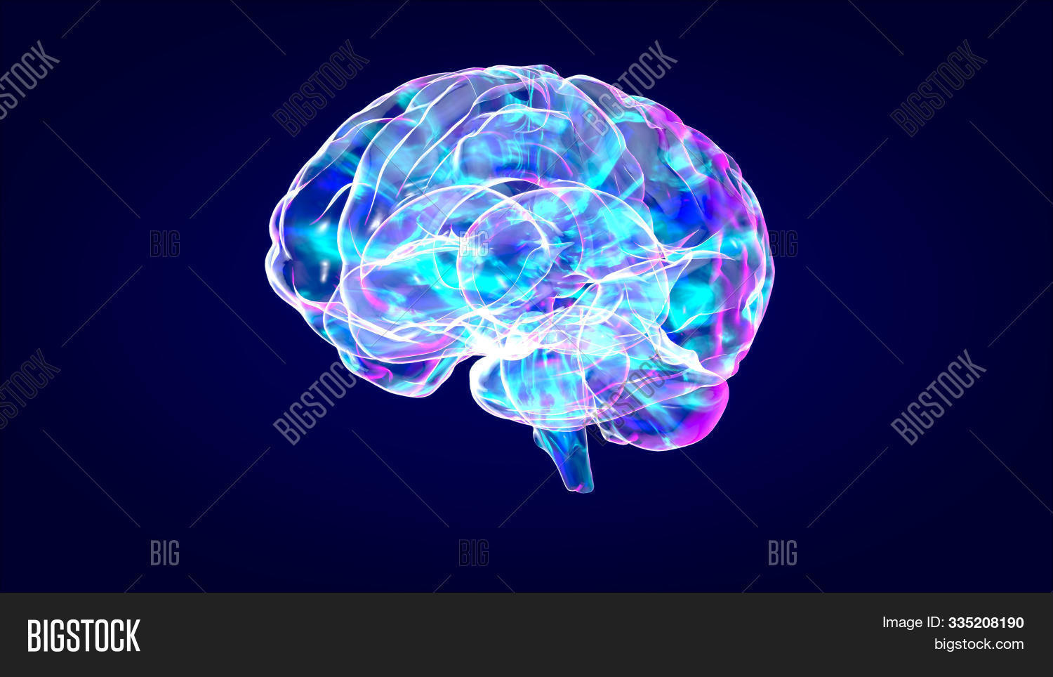 Brain Xray, Human Image & Photo (Free Trial) | Bigstock