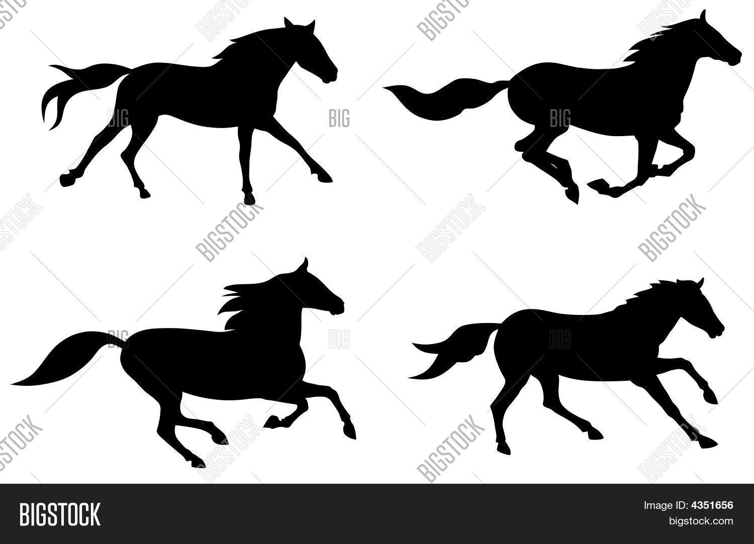 Horses Vector & Photo (Free Trial) | Bigstock