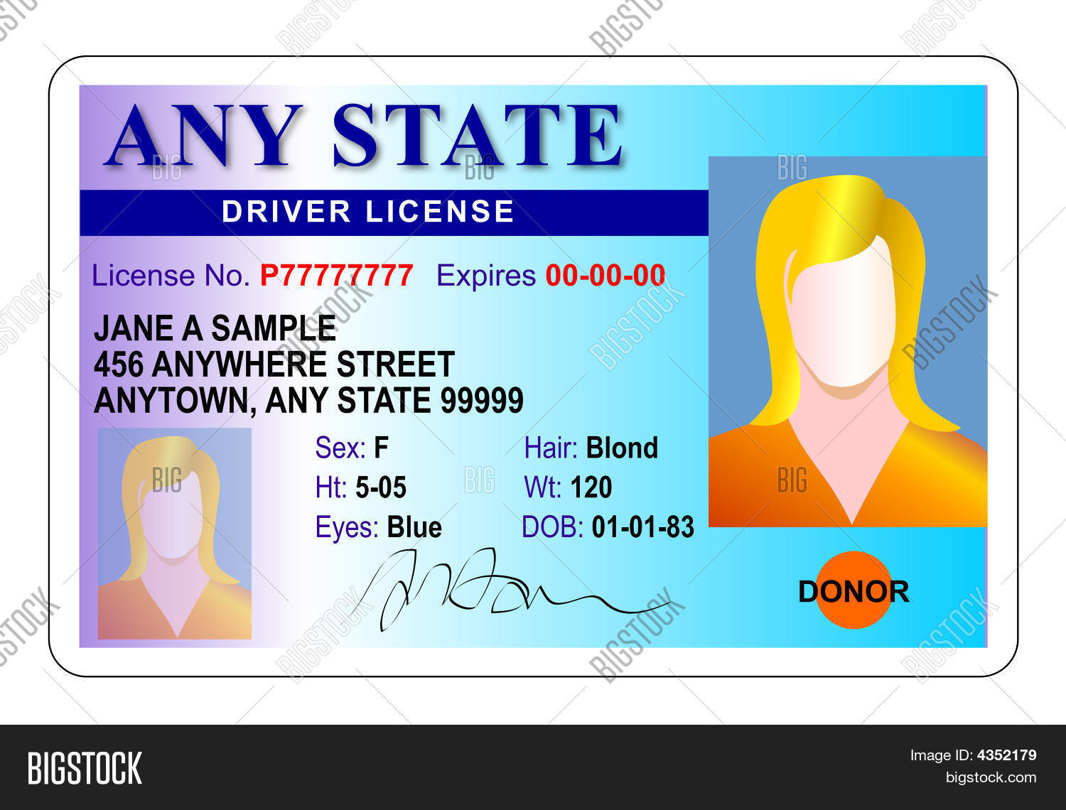 Driver License Card Image & Photo (Free Trial) | Bigstock