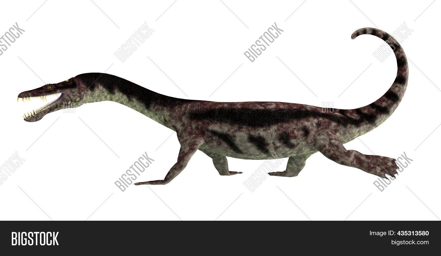 Nothosaurus Reptile Image & Photo (Free Trial) | Bigstock