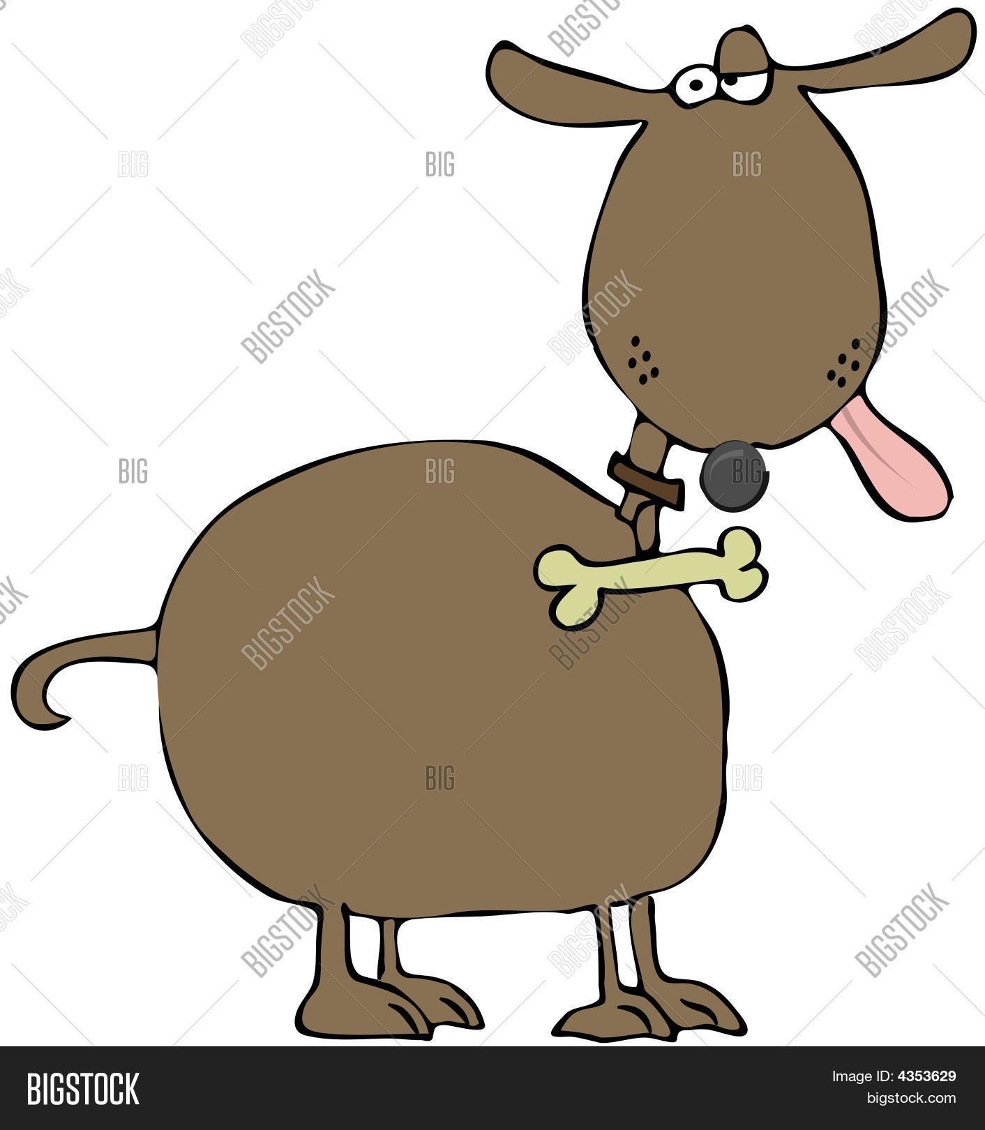 Goofy Dog Image & Photo (Free Trial) | Bigstock