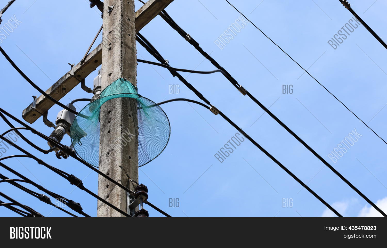 Snake Netting On Image & Photo (Free Trial) | Bigstock