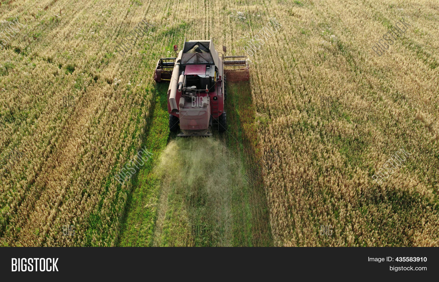 Working Combine Image & Photo (Free Trial) | Bigstock