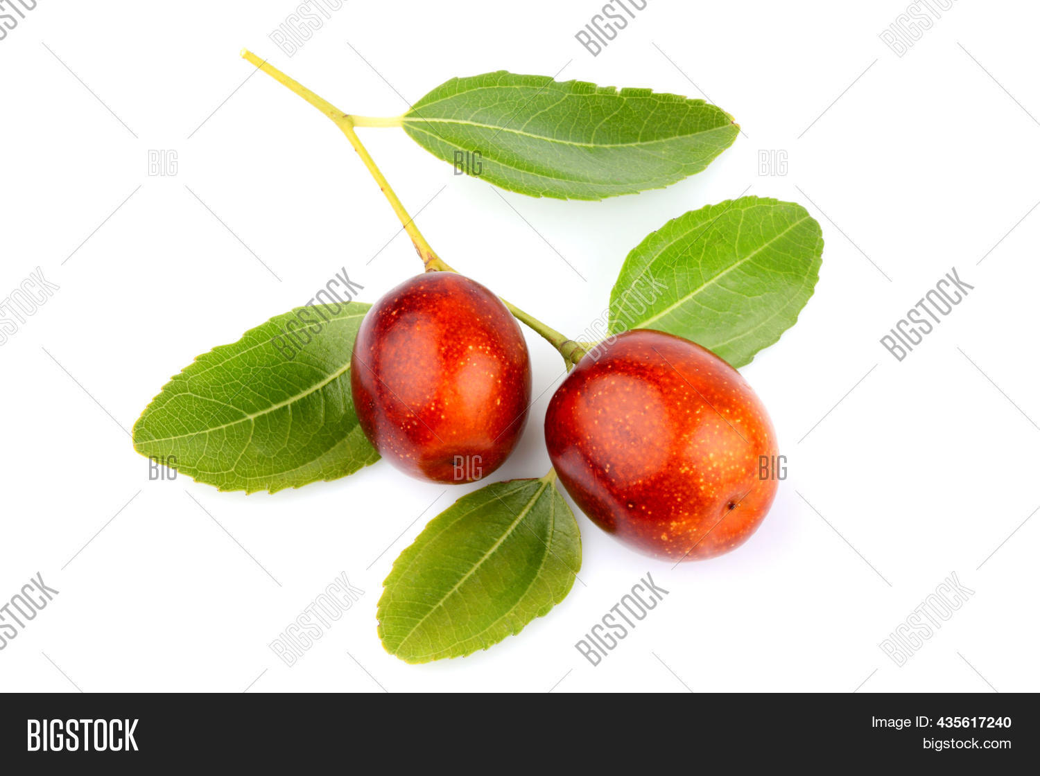 Jujube, Dried Red Image & Photo (Free Trial) | Bigstock