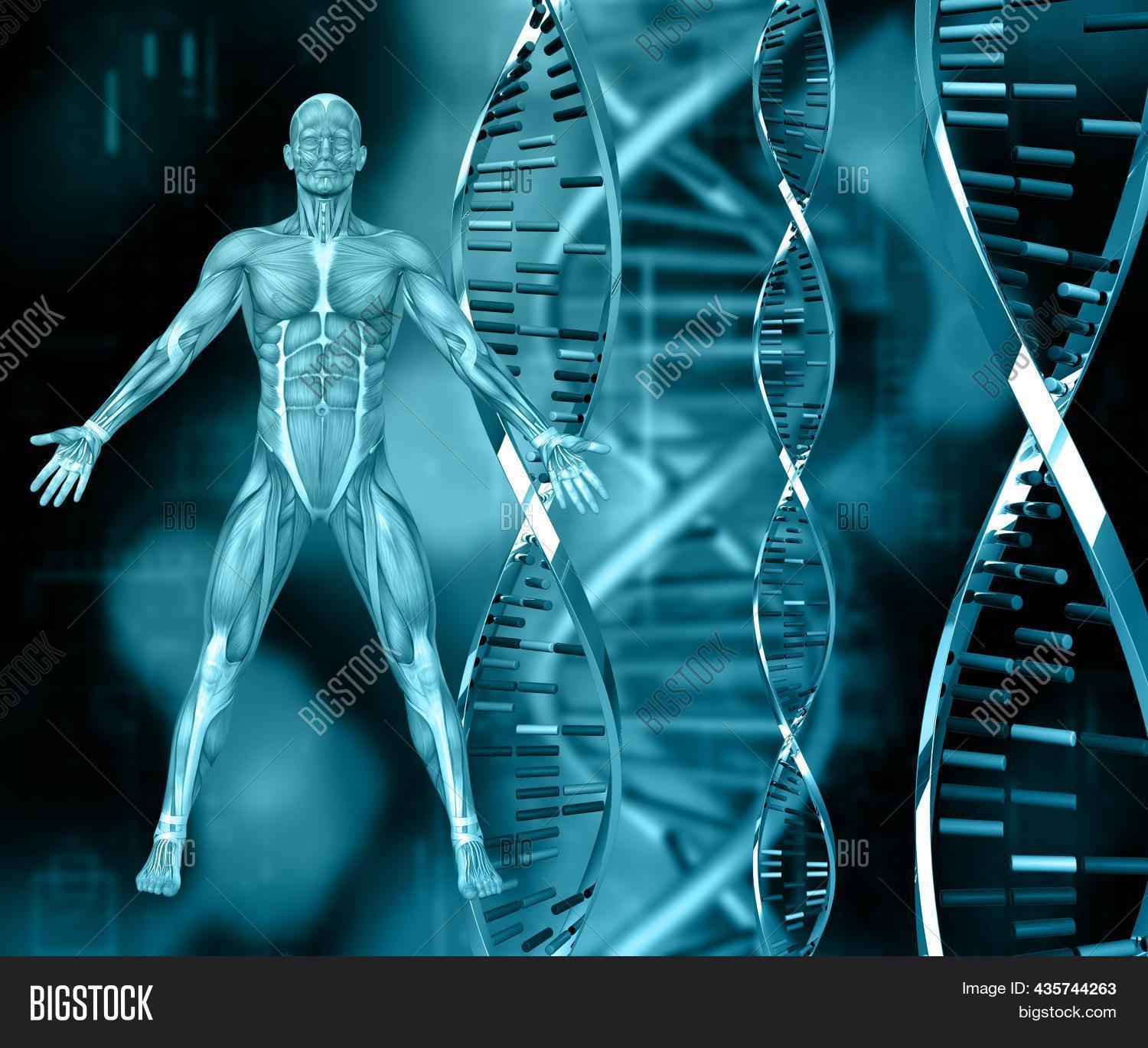 3D Render Medical Image & Photo (Free Trial) | Bigstock