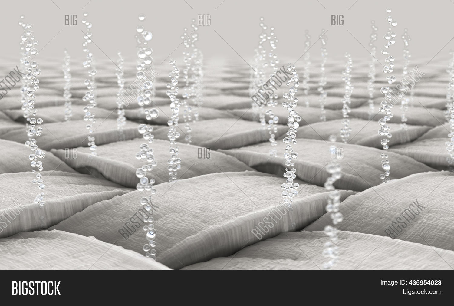 Microscopic View Image & Photo (Free Trial) | Bigstock
