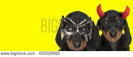 Landscape Two Teckel Image & Photo (Free Trial) | Bigstock