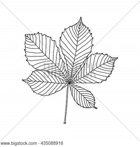 Linear Graphic Vector & Photo (Free Trial) | Bigstock