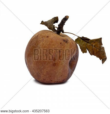 Rotting Apples, Decay Image & Photo (Free Trial) | Bigstock