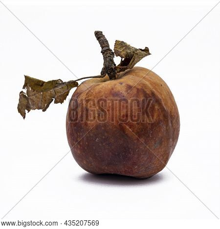 Rotting Apples, Decay Image & Photo (Free Trial) | Bigstock