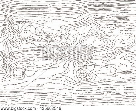 Seamless Wooden Vector & Photo (Free Trial) | Bigstock