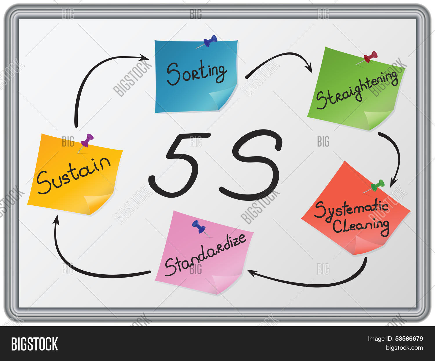 5S Organization Vector & Photo (Free Trial) | Bigstock