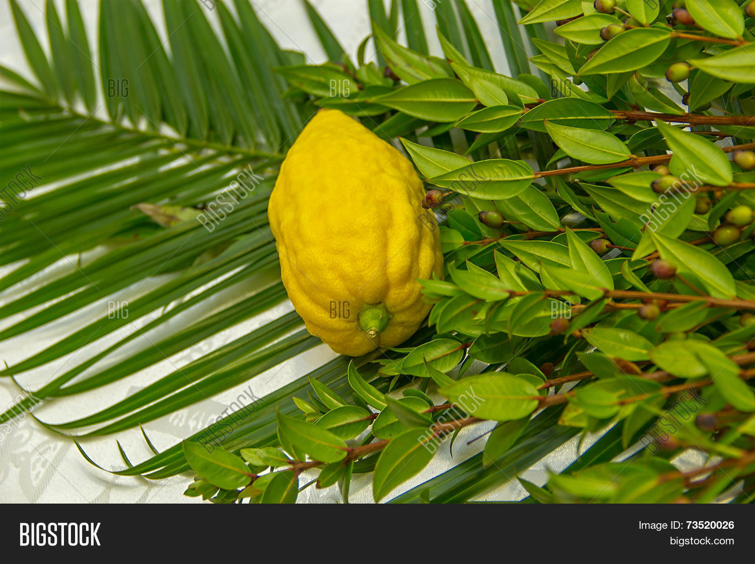Lulav Bouquet Image & Photo (Free Trial) | Bigstock