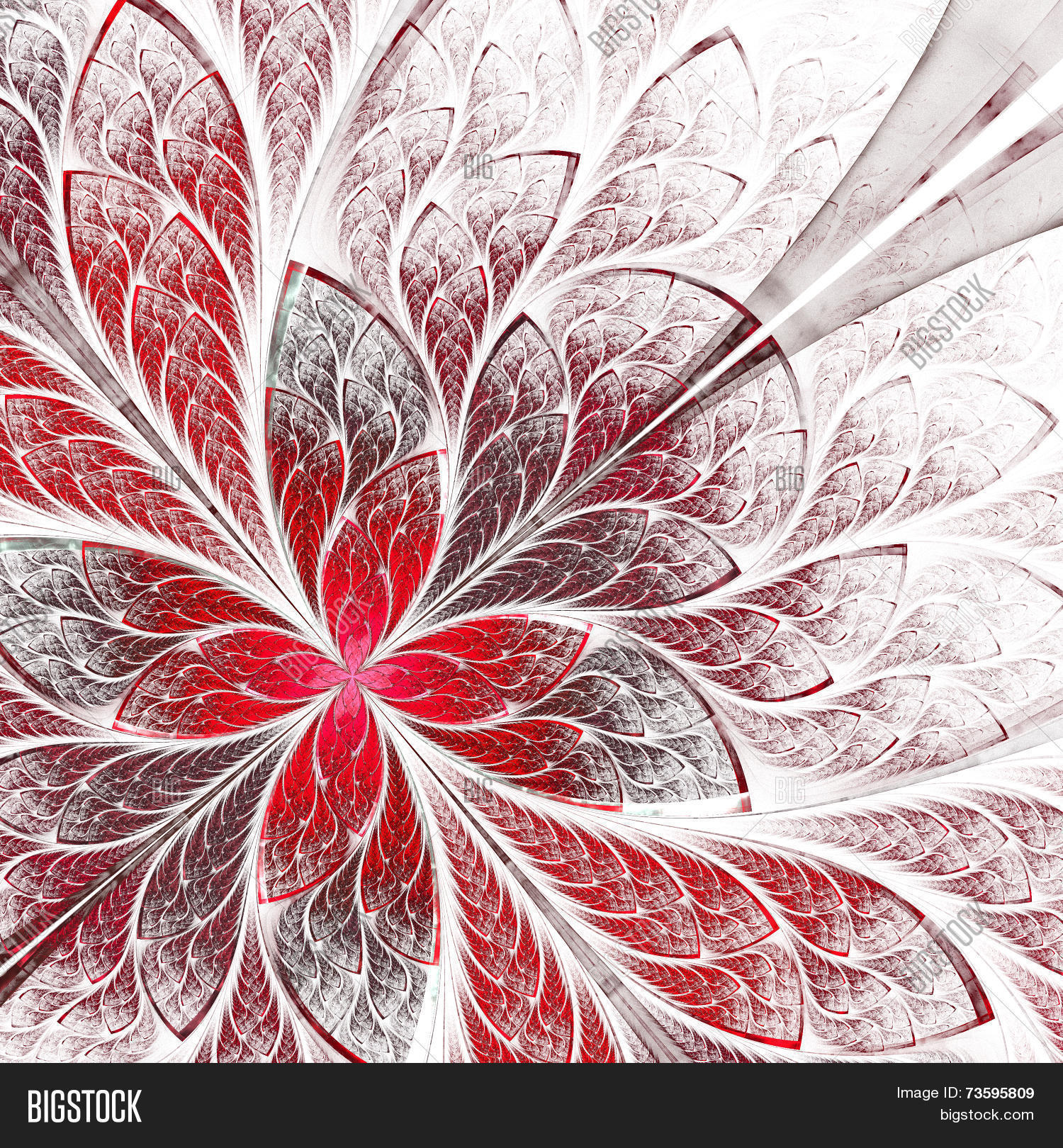 Symmetrical Flower Image & Photo (Free Trial) | Bigstock