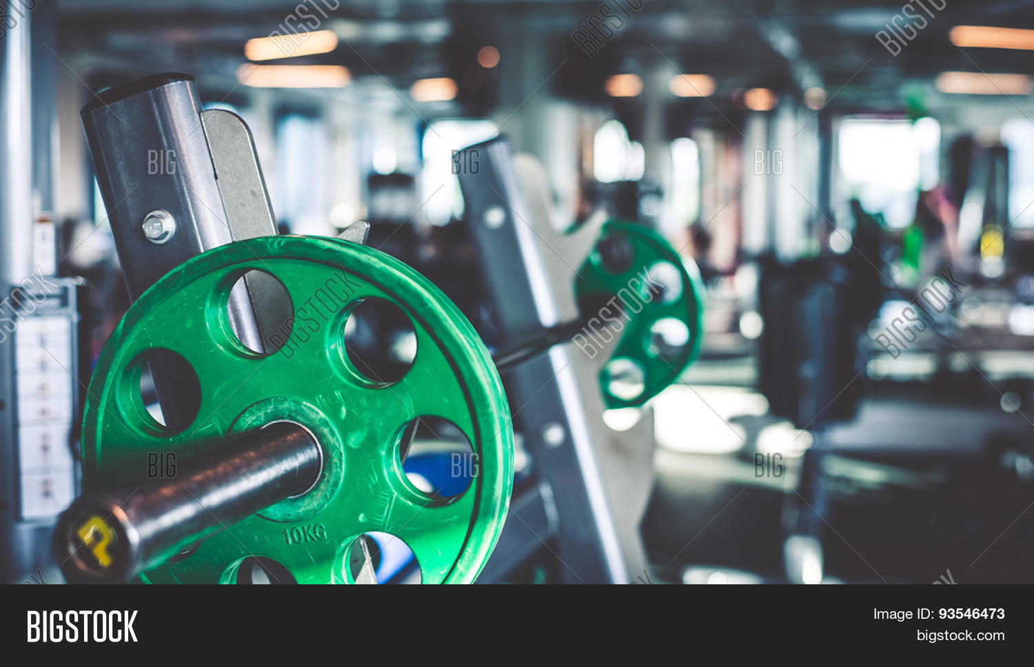 Rod Weights Gym Image & Photo (Free Trial) | Bigstock