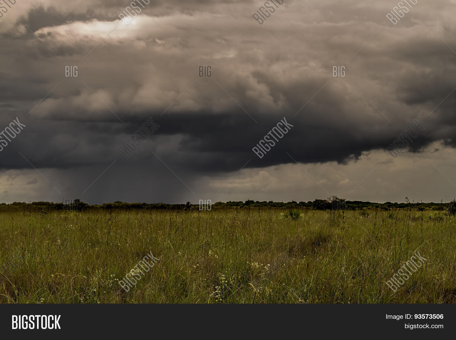 Storm Over Everglades Image & Photo (Free Trial) | Bigstock