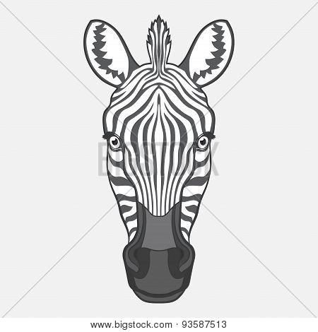 Zebra Head Vector & Photo (Free Trial) | Bigstock