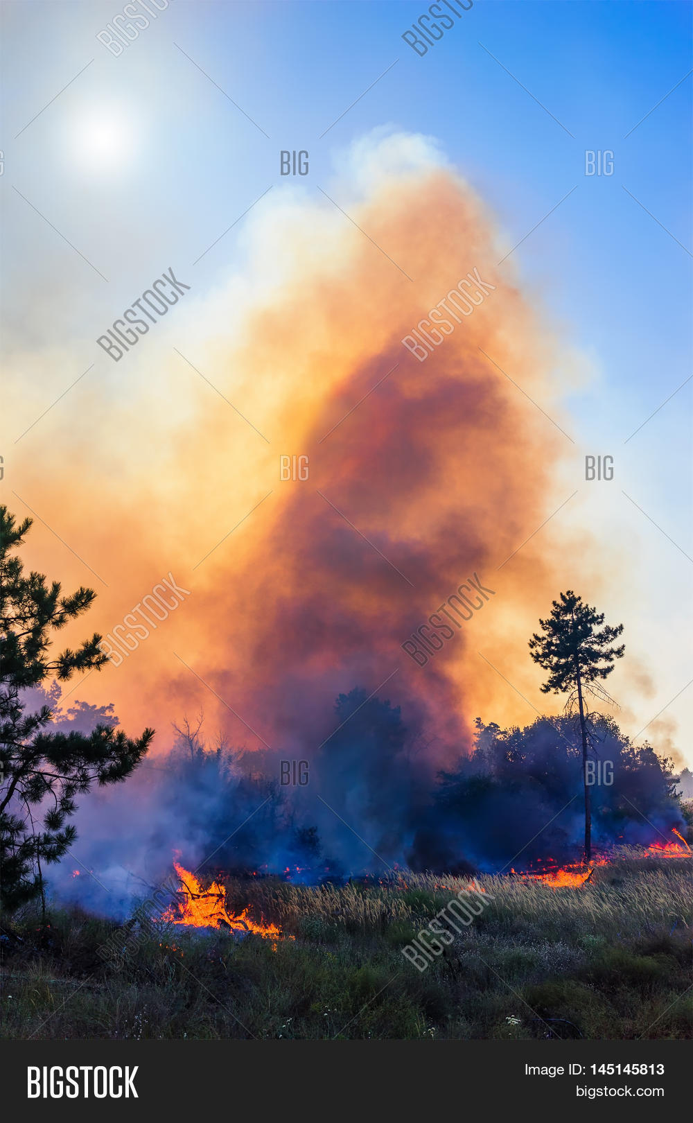 Wind Blowing On Image & Photo (Free Trial) | Bigstock