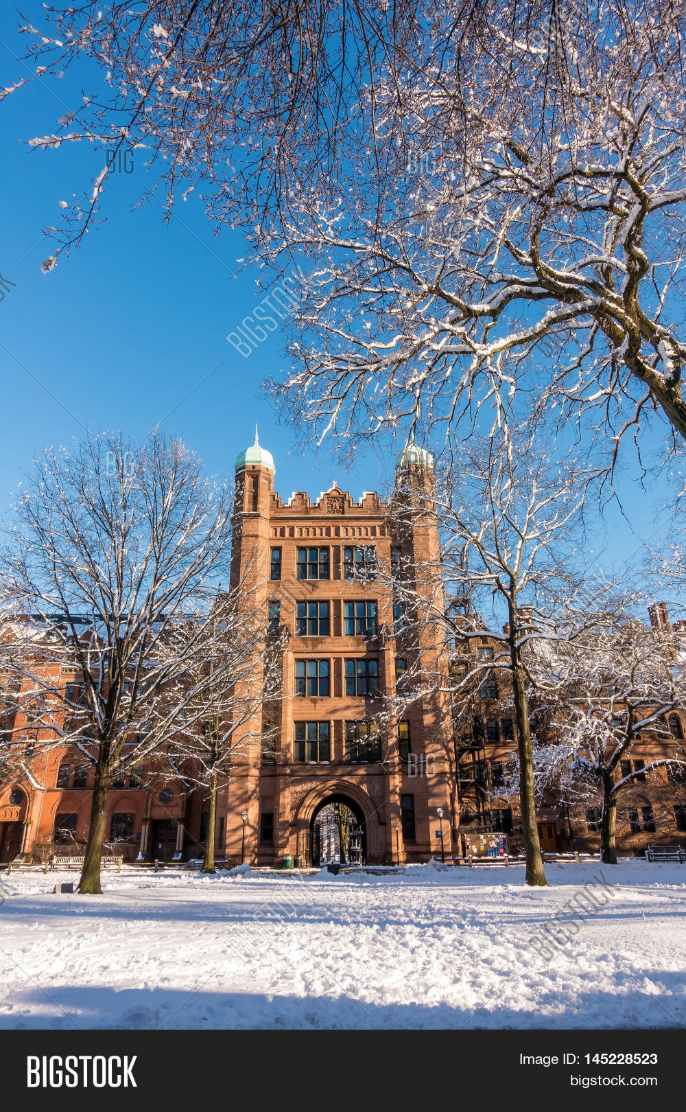 Yale University Image & Photo (Free Trial) | Bigstock
