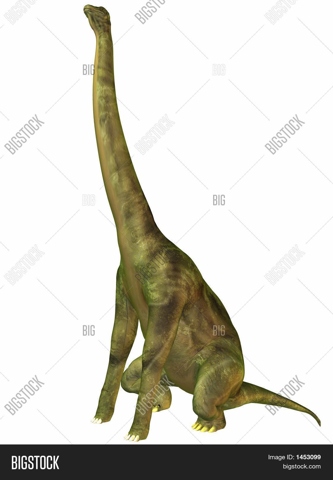 Brachiosaurus Image & Photo (Free Trial) | Bigstock