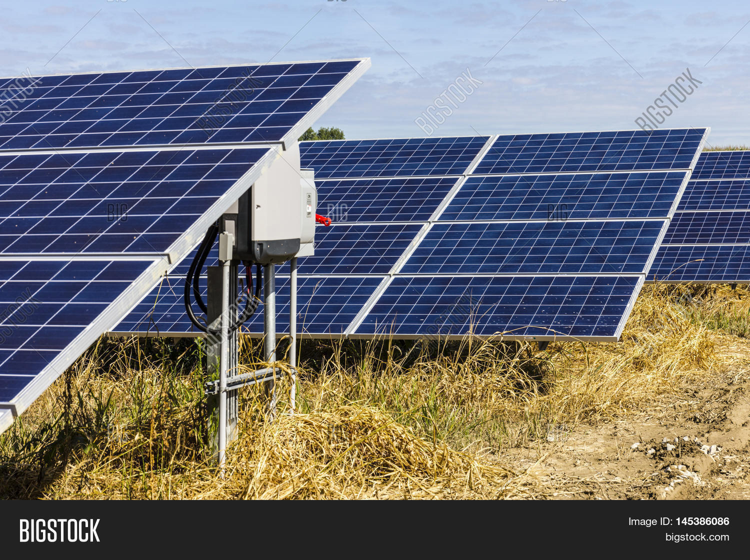 Solar Panel Farm. Corn Image & Photo (Free Trial) | Bigstock