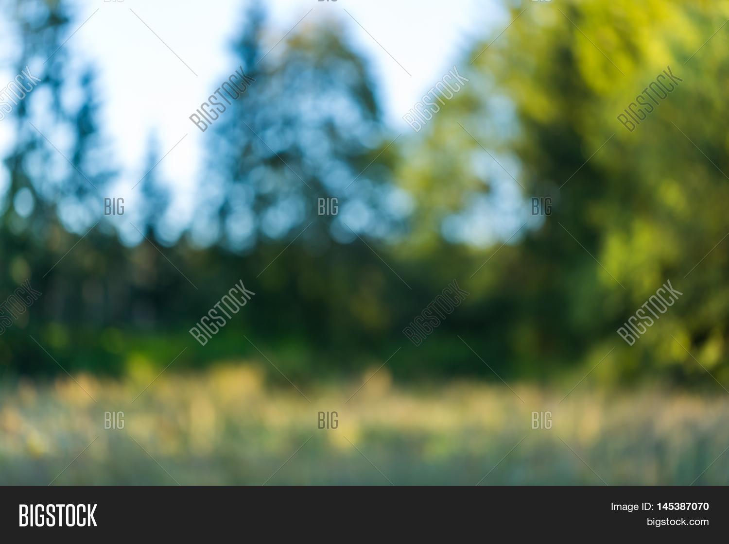 Colorful Nature Bokeh Image & Photo (Free Trial) | Bigstock