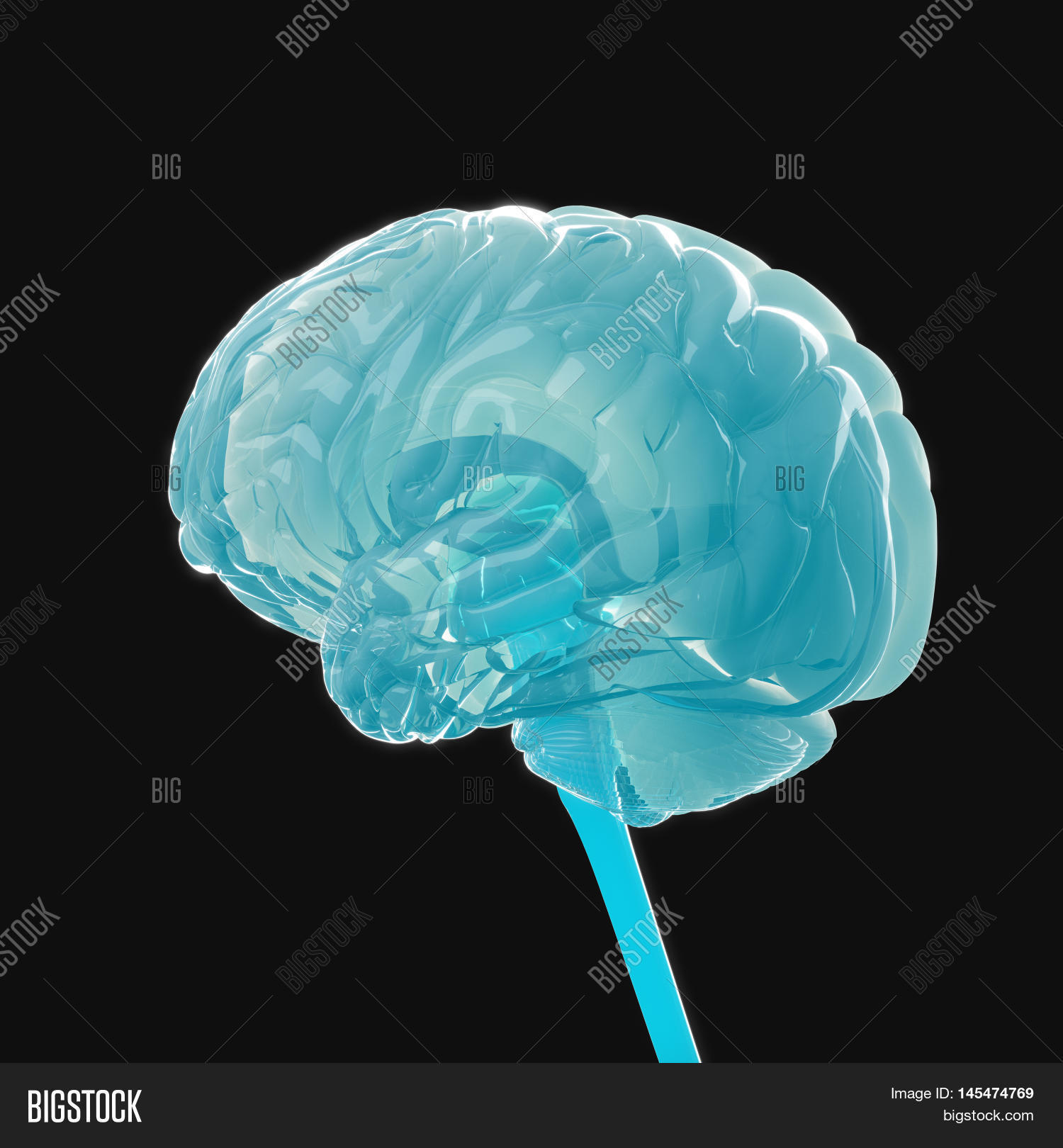 Huma Brain Isolated. Image & Photo (Free Trial) | Bigstock
