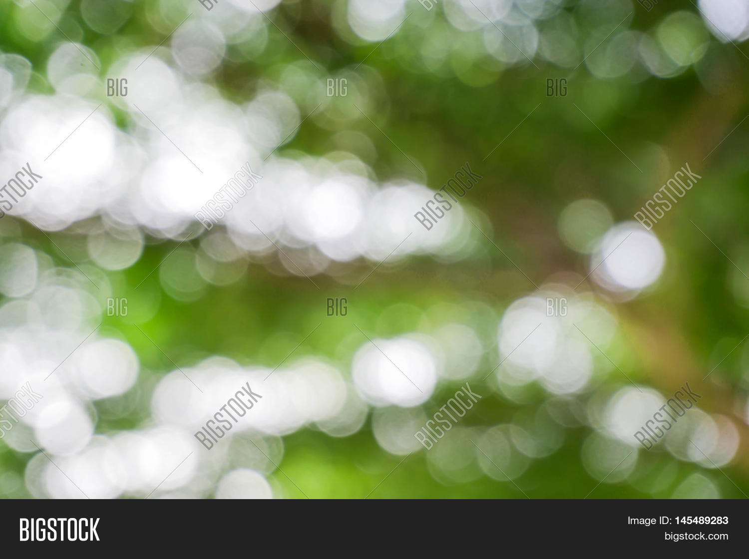 Green Bokeh / Bokeh Image & Photo (Free Trial) | Bigstock