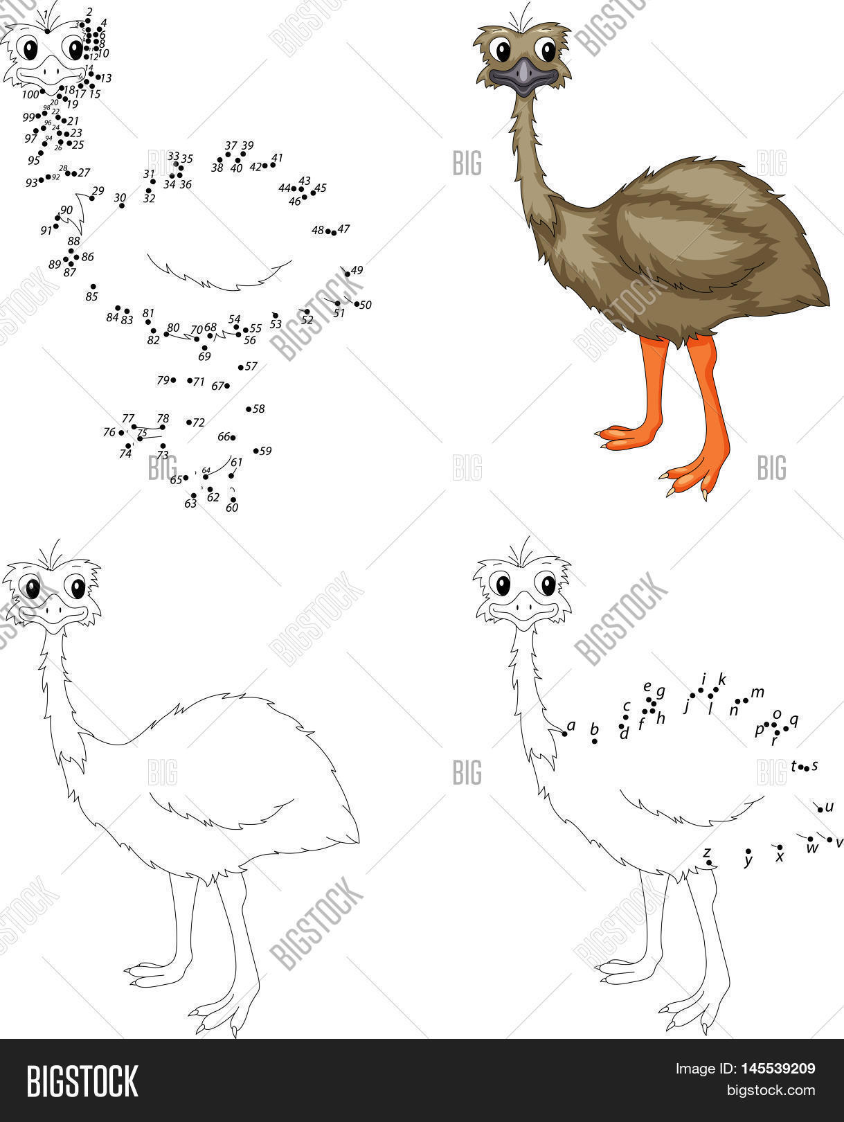 Cartoon Emu. Coloring Vector & Photo (Free Trial) | Bigstock