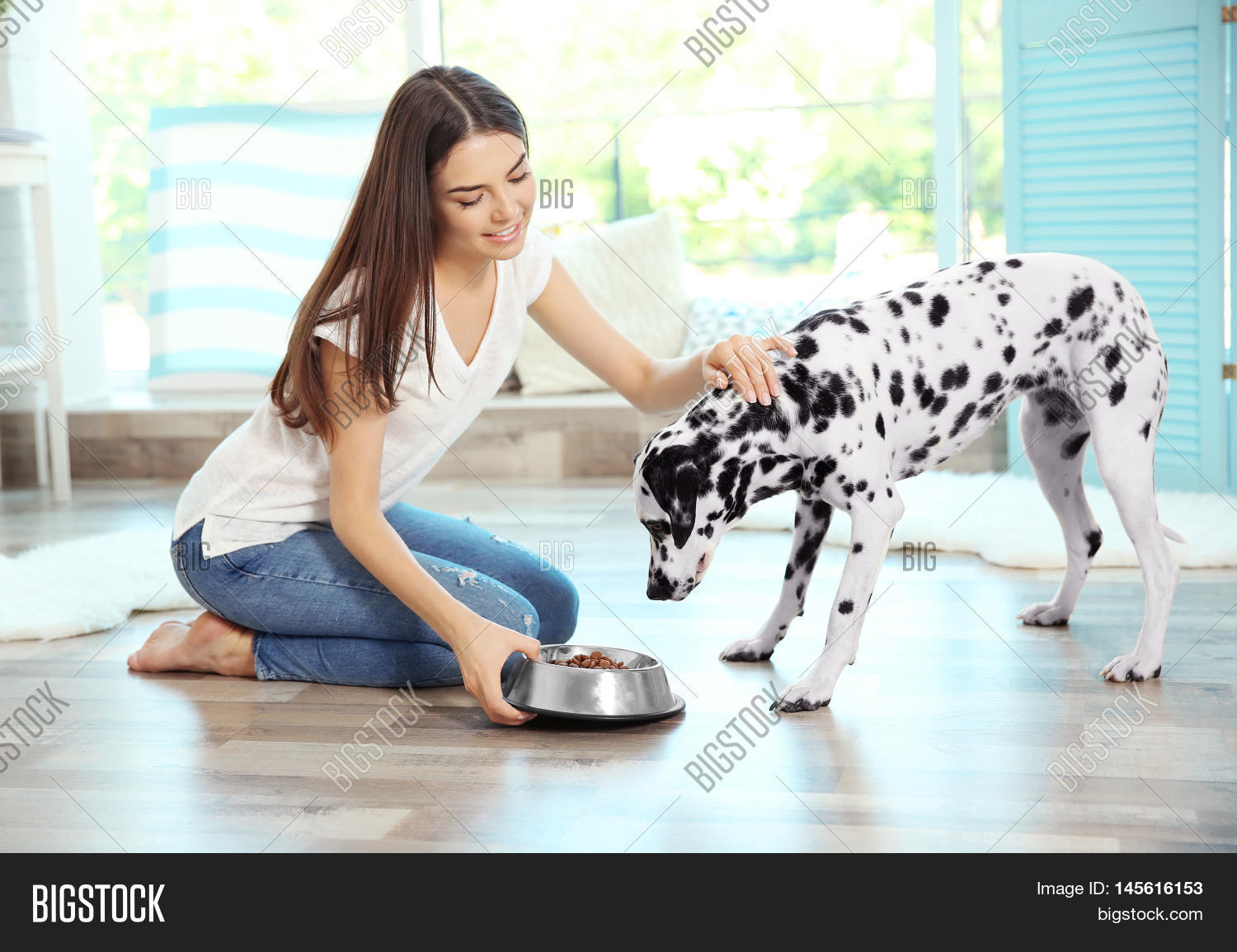 Female Owner Feeding Image & Photo (Free Trial) | Bigstock