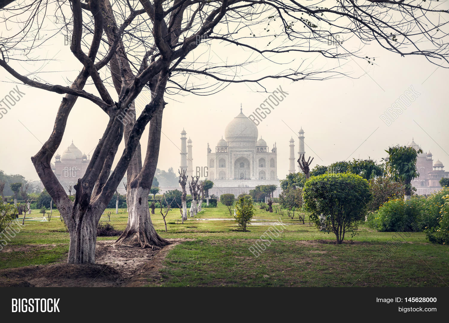 Taj Mahal Trees Mehtab Image & Photo (Free Trial) | Bigstock
