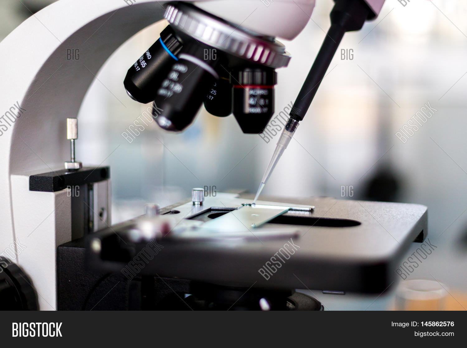 Study Microscope Image & Photo (Free Trial) | Bigstock