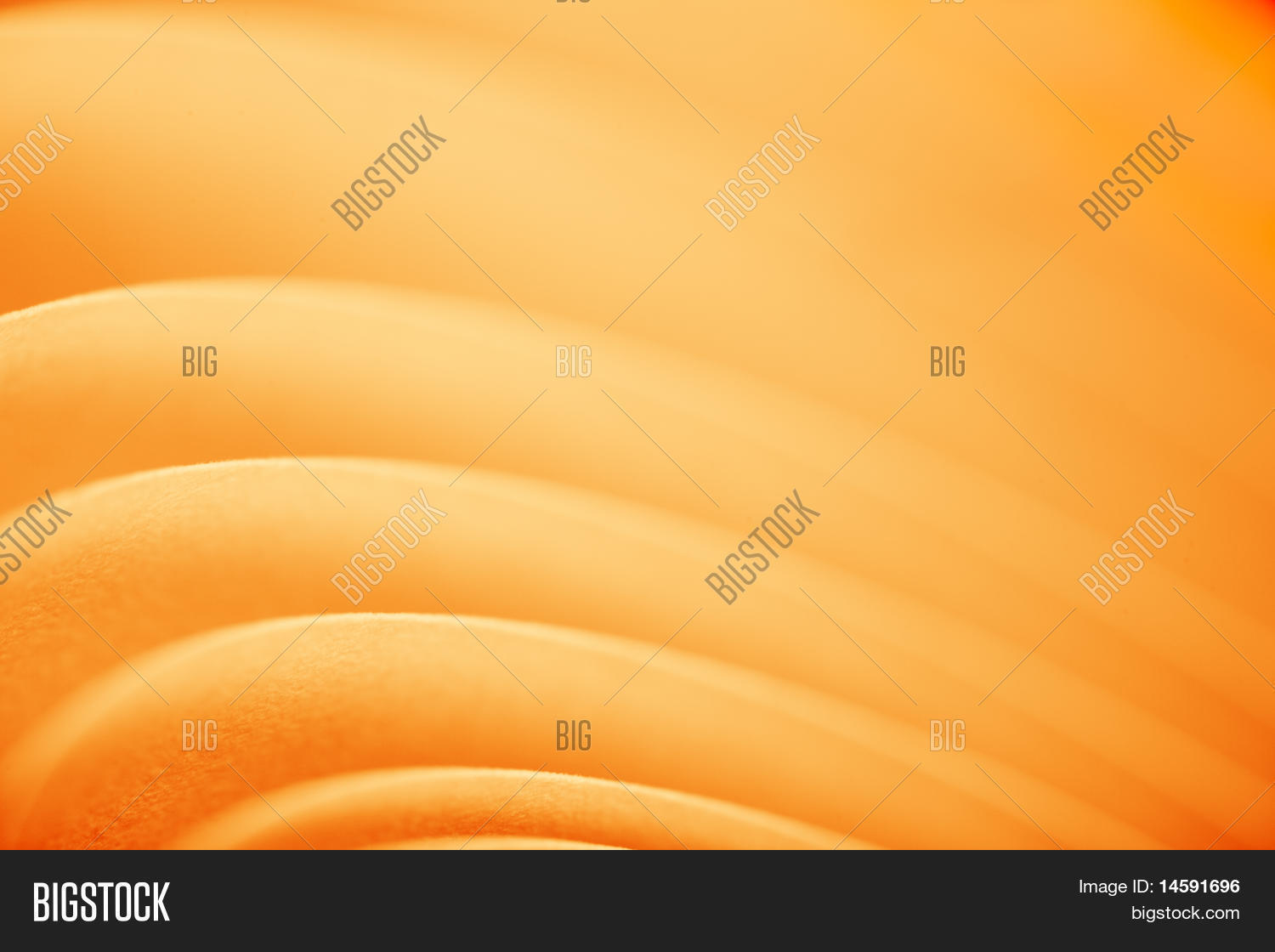 Yellow Color Tones Image & Photo (Free Trial) | Bigstock