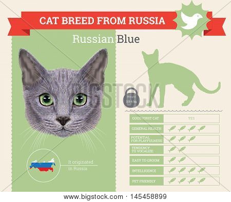 Russian Blue Cat Vector & Photo (Free Trial) | Bigstock