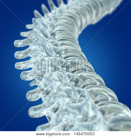 Human Spine Made Glass Image & Photo (Free Trial) | Bigstock