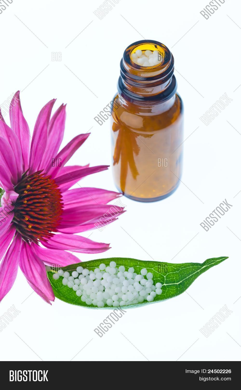 Homeopathy. Globules Image & Photo (Free Trial) | Bigstock