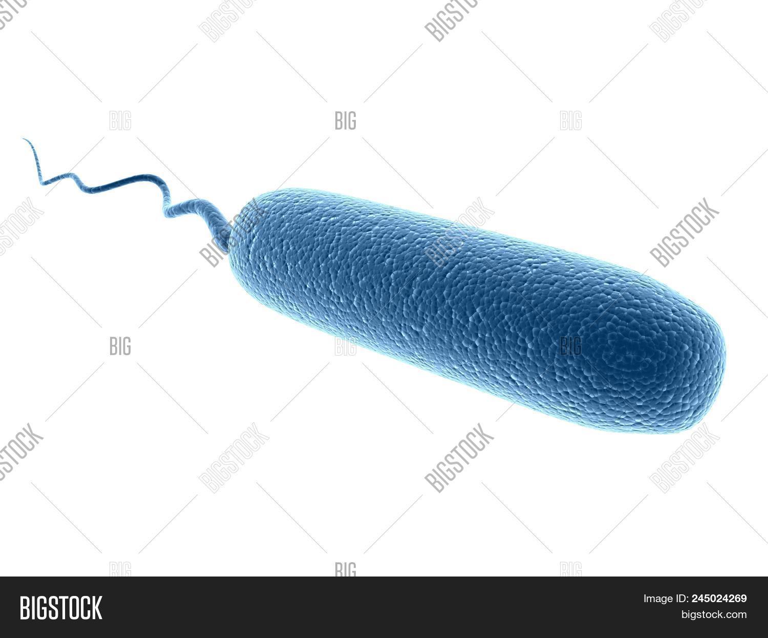 3d Illustration Image & Photo (Free Trial) | Bigstock