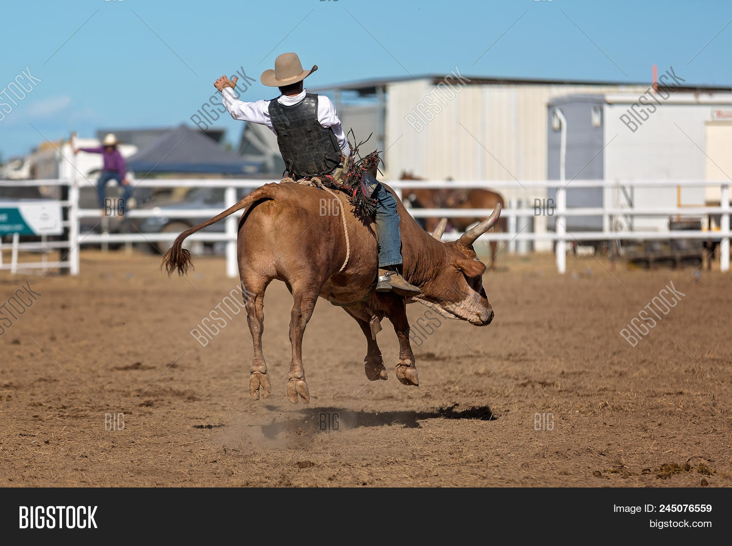 Cowboy Competing Bull Image & Photo (Free Trial) | Bigstock