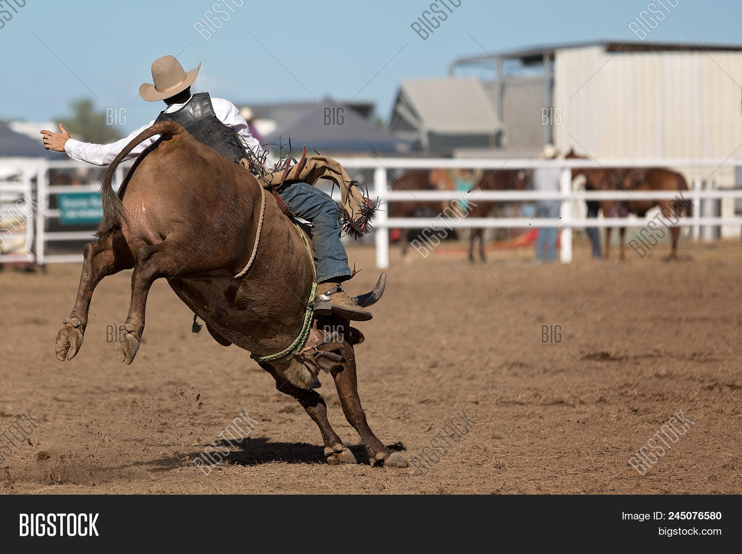 Cowboy Competing Image & Photo (Free Trial) | Bigstock