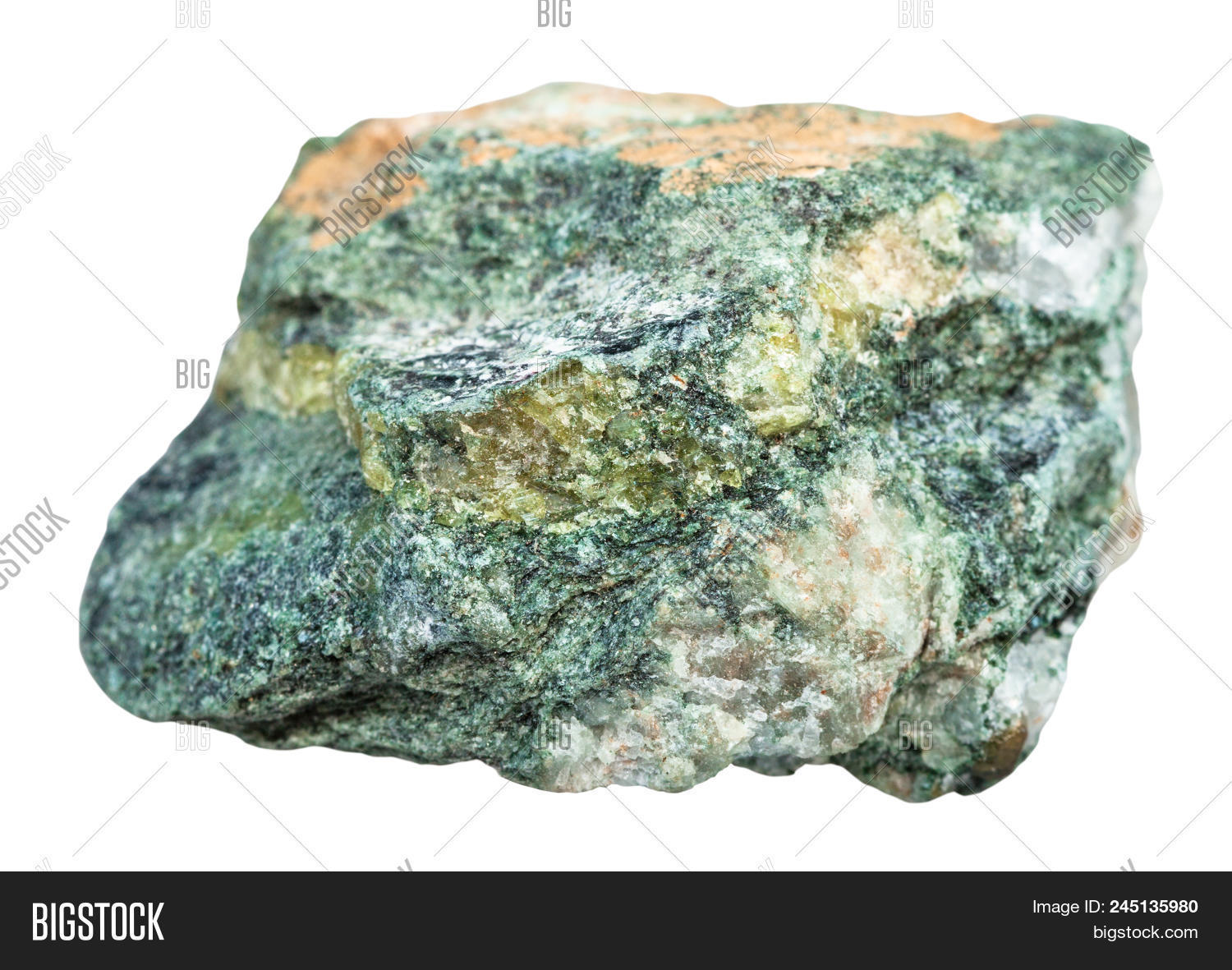 Macro Shooting Natural Image & Photo (Free Trial) | Bigstock