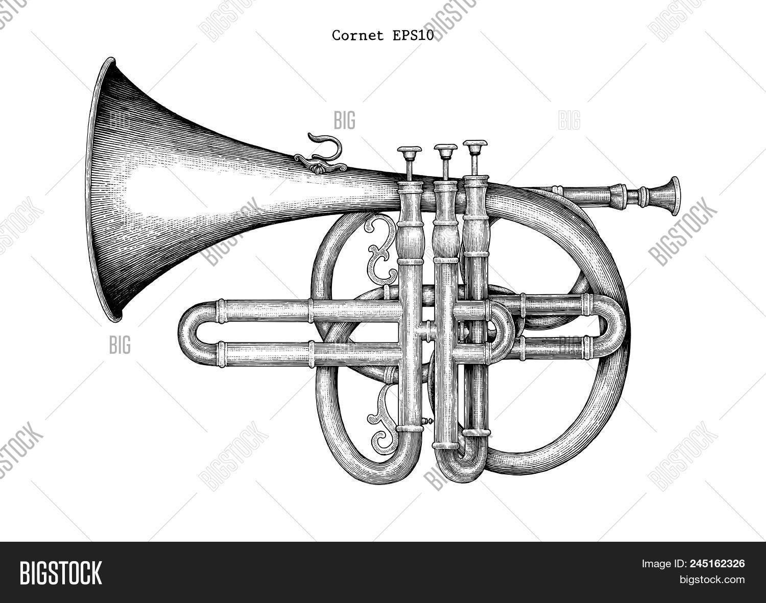 Vintage Cornet Hand Vector & Photo (Free Trial) | Bigstock