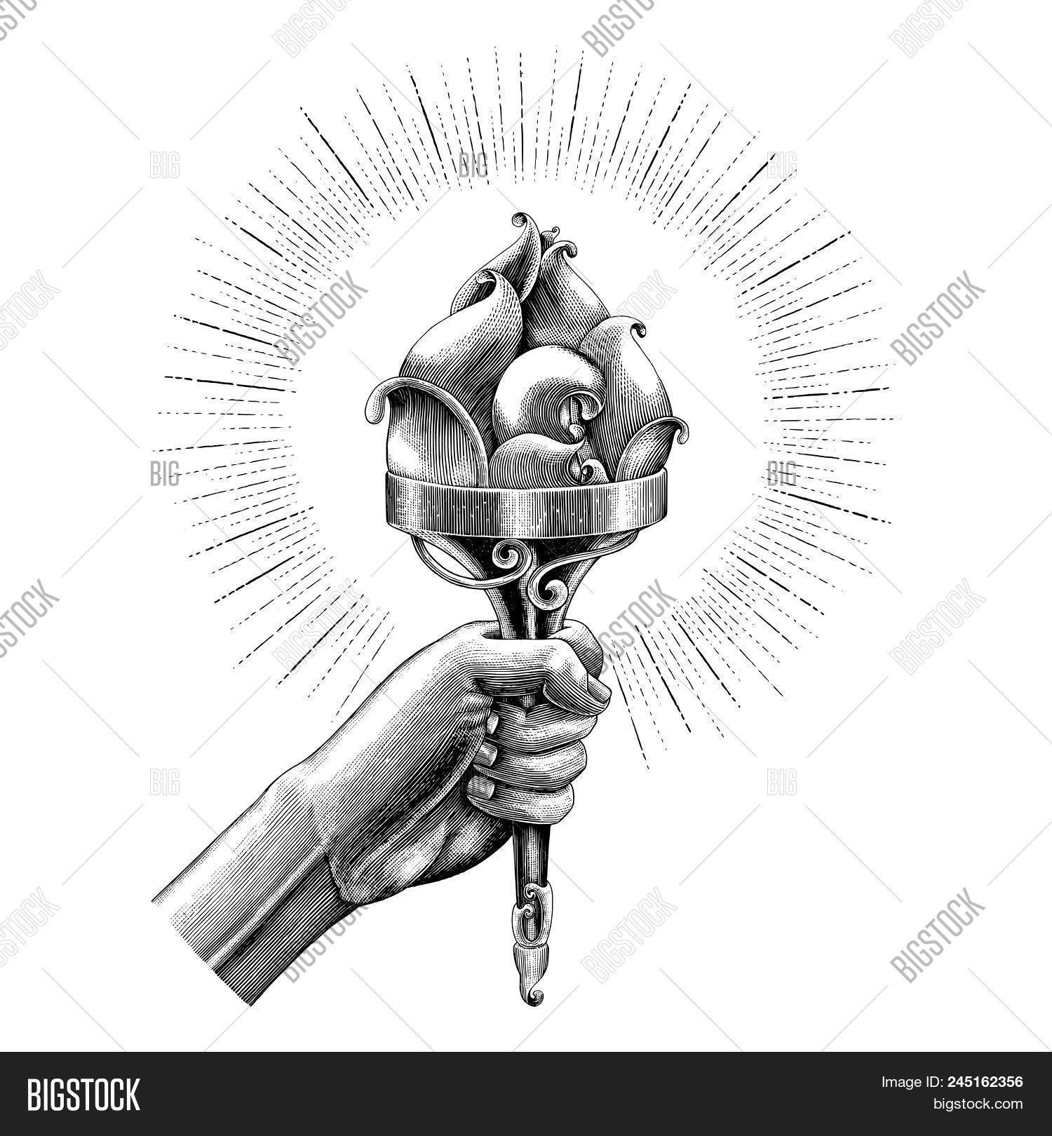 Hand Holding Torch Vector & Photo (Free Trial) | Bigstock